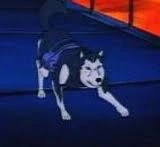 Shadow | Power Extreme Wiki | Fandom