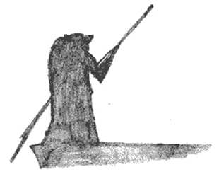 Finfolk Physiology | Superpower Wiki | Fandom