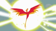 Phoenix Physiology | Superpower Wiki | Fandom