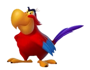 Parrot Physiology | Superpower Wiki | Fandom