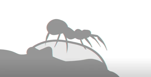 Darkness Consumption | Superpower Wiki | Fandom