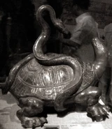 Tortoise Physiology | Superpower Wiki | Fandom