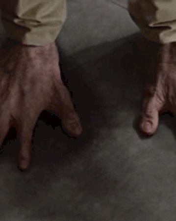 monkey feet - munimoro.gob.pe