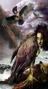 Harpy Physiology | Superpower Wiki | Fandom