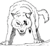 Wolf Physiology | Superpower Wiki | Fandom