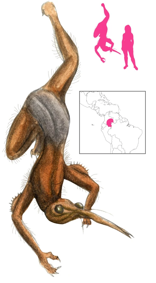 List of Colombian Mythical Creatures | Superpower Wiki | Fandom