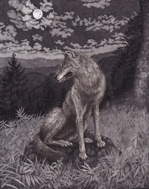 Okuchi no Makami Physiology | Superpower Wiki | Fandom