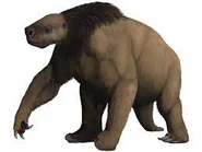 Mapinguari Physiology | Superpower Wiki | Fandom