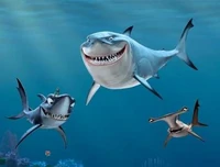 Shark Physiology | Superpower Wiki | Fandom