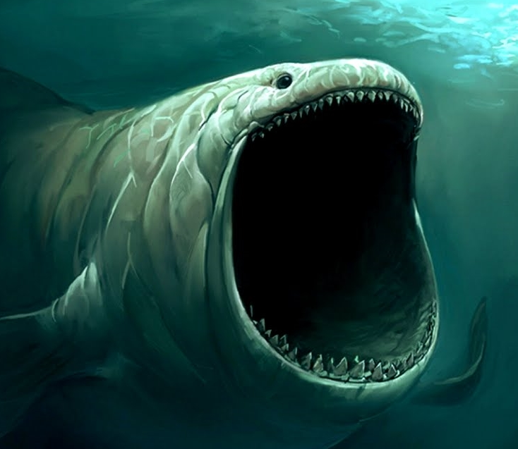 Fanon:Bloop Physiology | Superpower Wiki | Fandom Fanon:Bloop Physiology | Superpower Wiki | Fandom