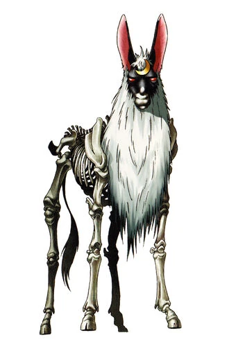 Skeleton Animal Physiology | Superpower Wiki | Fandom