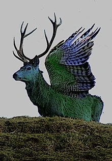 Peryton Physiology | Superpower Wiki | Fandom