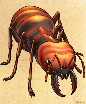 Gold-Digging Ant Physiology | Superpower Wiki | Fandom