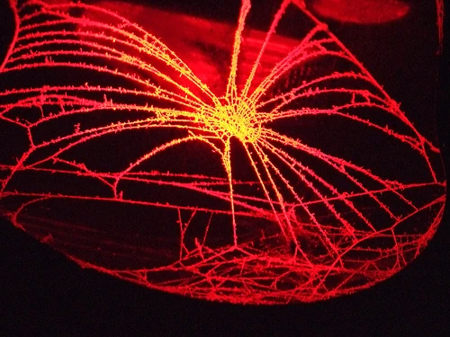 Elemental Web Creation | Superpower Wiki | Fandom