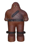Golem Physiology | Superpower Wiki | Fandom
