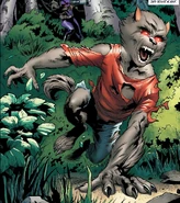 Wolf Physiology | Superpower Wiki | Fandom