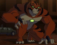 Tiger Physiology | Superpower Wiki | Fandom