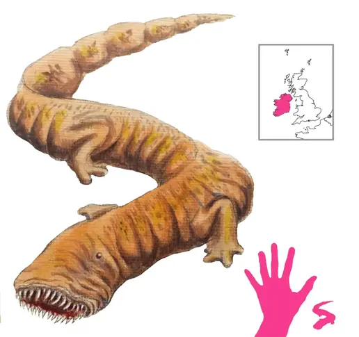 Alp-Luachra Physiology | Superpower Wiki | Fandom