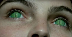 Monster Slit Pupils