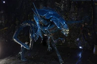 Archetype:Alpha Alien | Superpower Wiki | Fandom