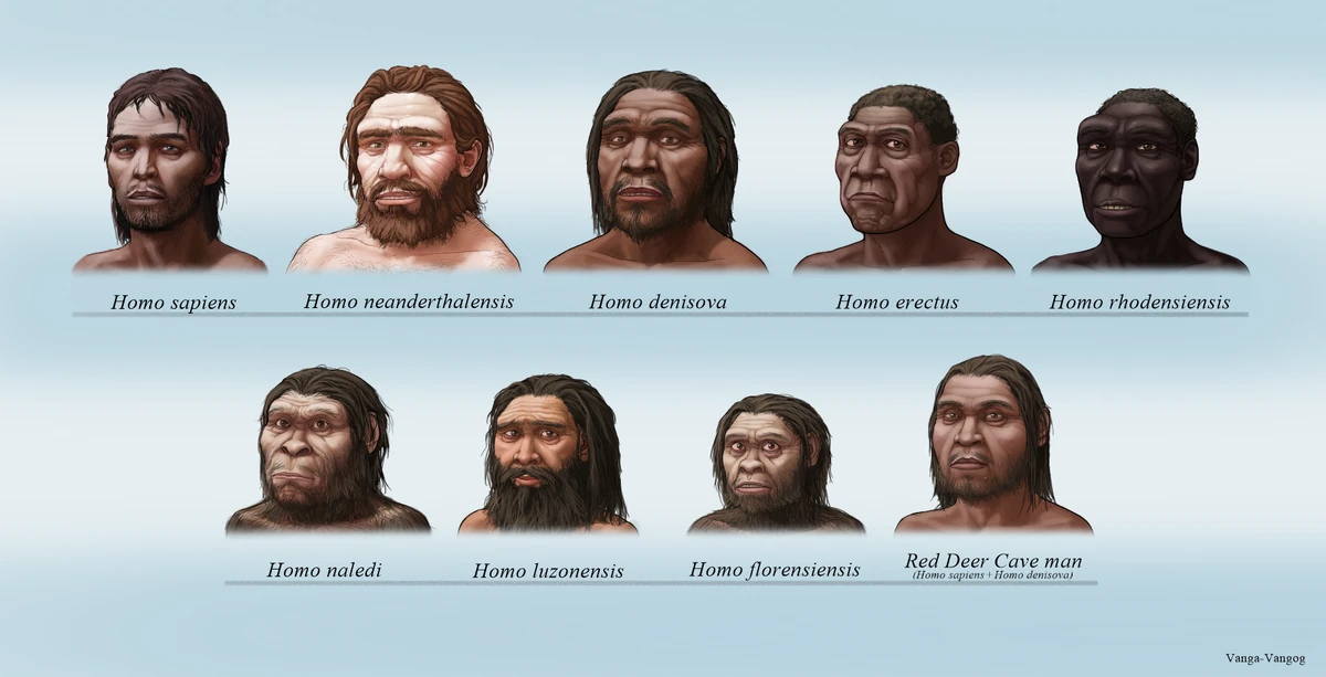 Fanon:List of Human Variants | Superpower Wiki | Fandom