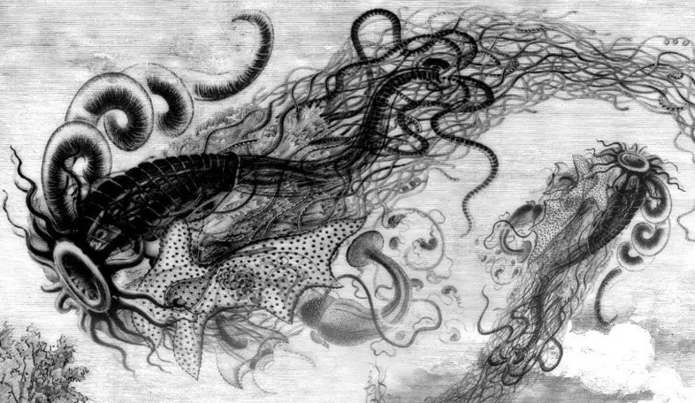 Fanon:Crawfordsville Monster Physiology | Superpower Wiki | Fandom