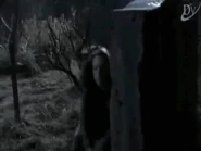 Archetype:Warrior Demon | Superpower Wiki | Fandom