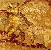 Crocotta Physiology | Superpower Wiki | Fandom