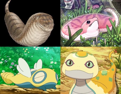Tsuchinoko Physiology | Superpower Wiki | Fandom