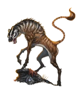 Crocotta Physiology | Superpower Wiki | Fandom