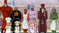 Archetype:Master Chef | Superpower Wiki | Fandom