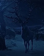 Cervid Physiology | Superpower Wiki | Fandom