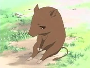 Zodiac Empowerment | Superpower Wiki | Fandom