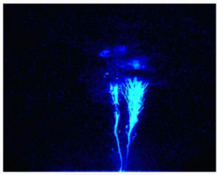 Astral Electricity Manipulation | Superpower Wiki | Fandom