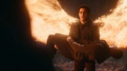 Phoenix Physiology | Superpower Wiki | Fandom