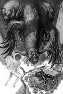 Gastropoda Physiology | Superpower Wiki | Fandom
