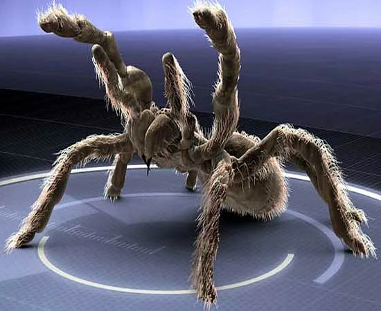 J'ba Fofi Physiology | Superpower Wiki | Fandom