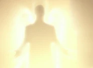 Seraph Physiology | Superpower Wiki | Fandom