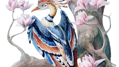 Discuss Everything About Superpower Wiki | Fandom