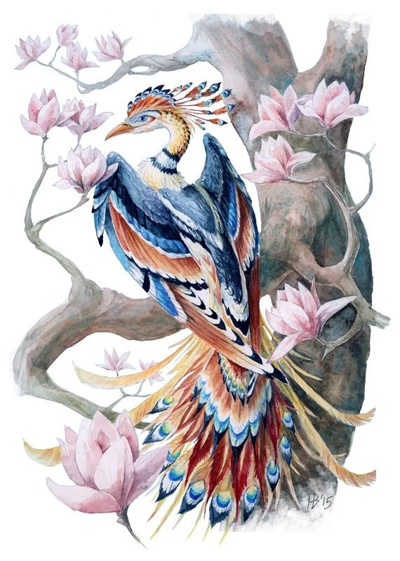 Anqa Physiology | Superpower Wiki | Fandom