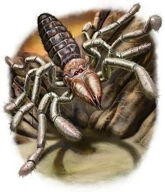 Djieien Physiology | Superpower Wiki | Fandom