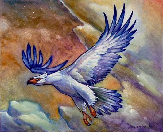 Rain Bird Physiology | Superpower Wiki | Fandom