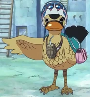 Waterfowl Physiology | Superpower Wiki | Fandom