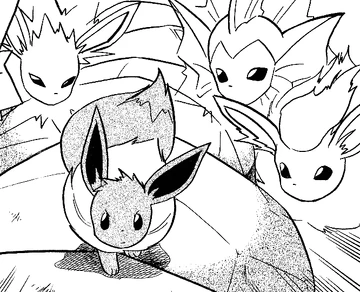 evolution black and white