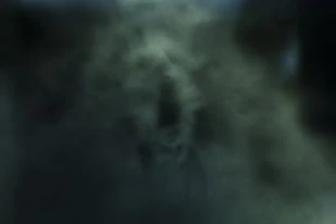 Fog Spirit Physiology | Superpower Wiki | Fandom