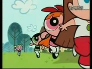 Superfriends/Gallery | Powerpuff Girls Wiki | Fandom
