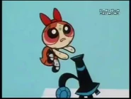 Geshundfight/Gallery | Powerpuff Girls Wiki | Fandom