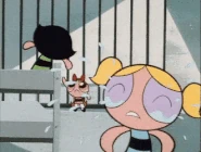 Powerpuff Bluff/Gallery | Powerpuff Girls Wiki | Fandom