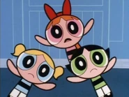 Cat Man Do/Gallery | Powerpuff Girls Wiki | Fandom