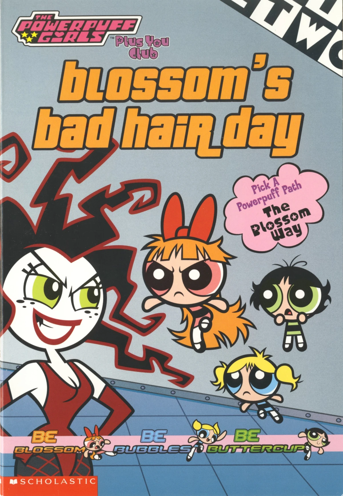 Blossom's Bad Hair Day | Powerpuff Girls Wiki | Fandom